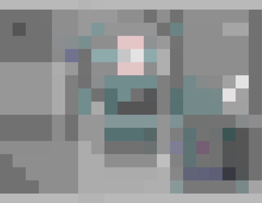 Bird’s Eye Chip Design – WXV