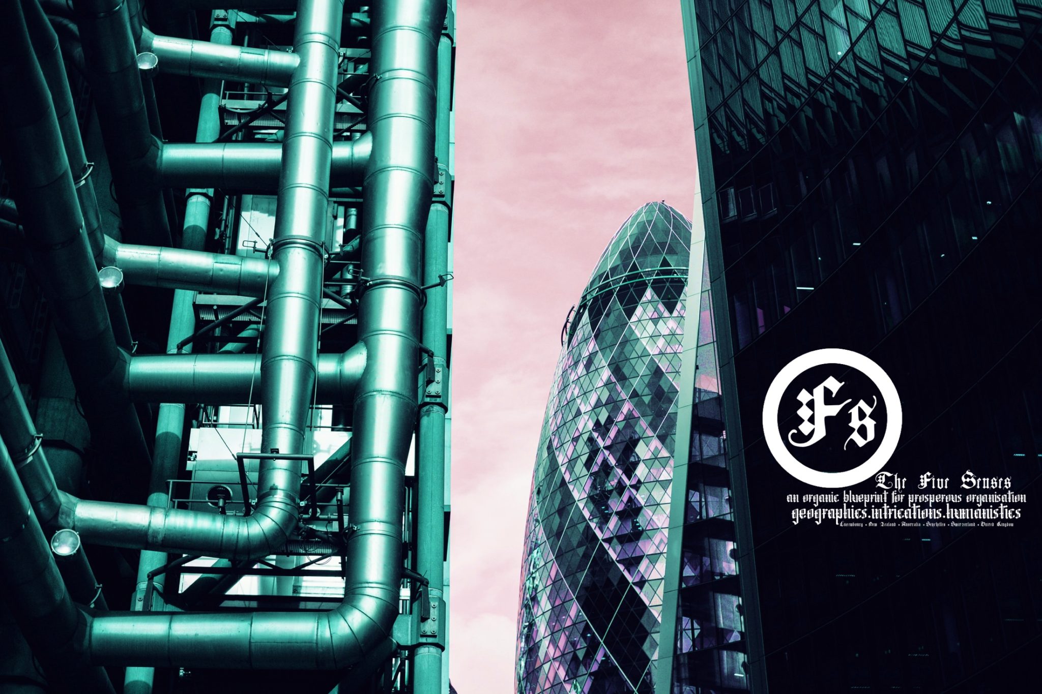 The Five Senses Coat of Arms – WXV